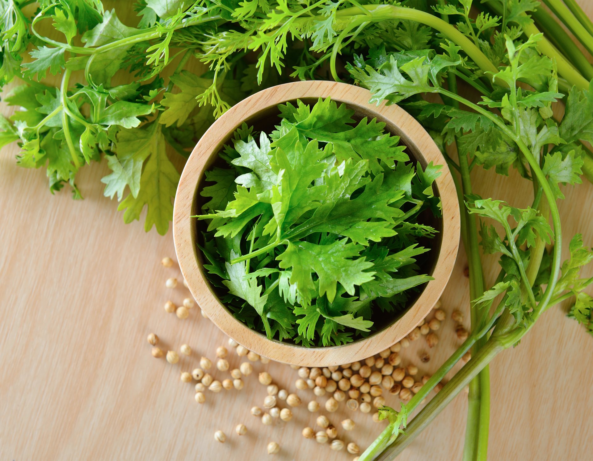 Beneficios del cilantro: la planta medicinal que mejora la digestión y ...