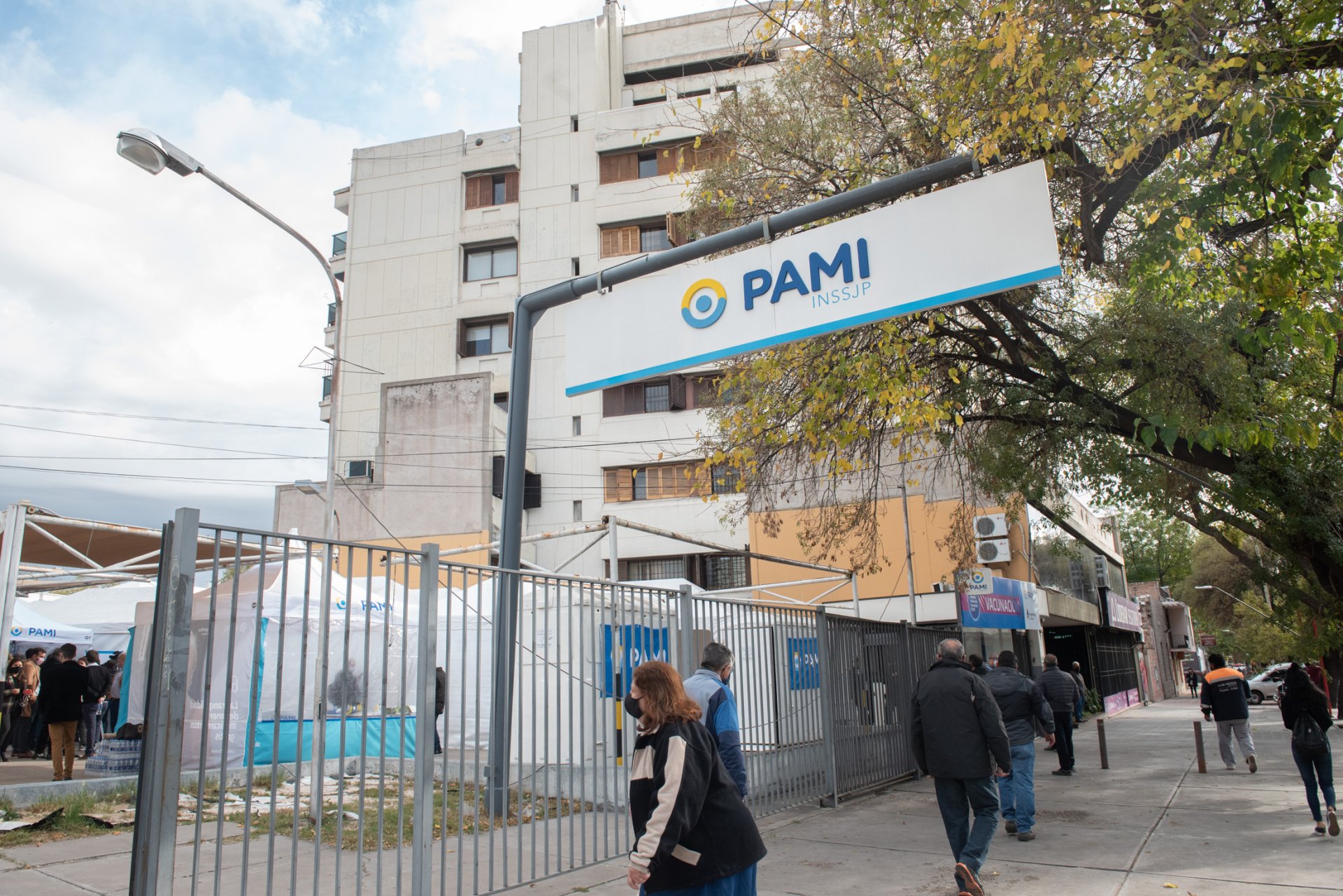 Mi PAMI: cómo gestionar turnos de especialidades médicas sin ir a la ...